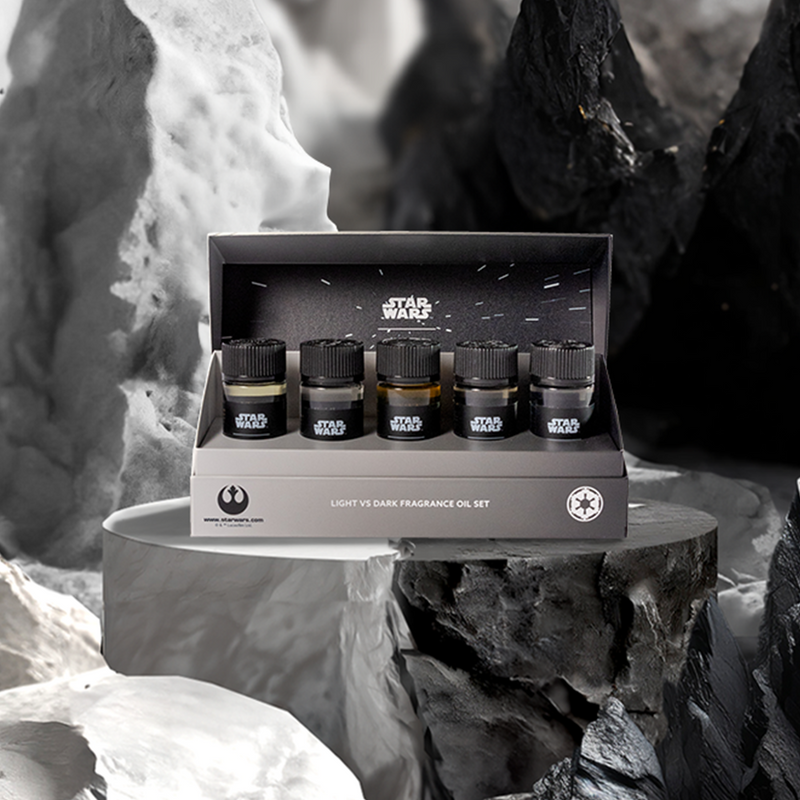 The STAR WARS ™ Light Vs Dark Side Discovery set - Hotel Collection