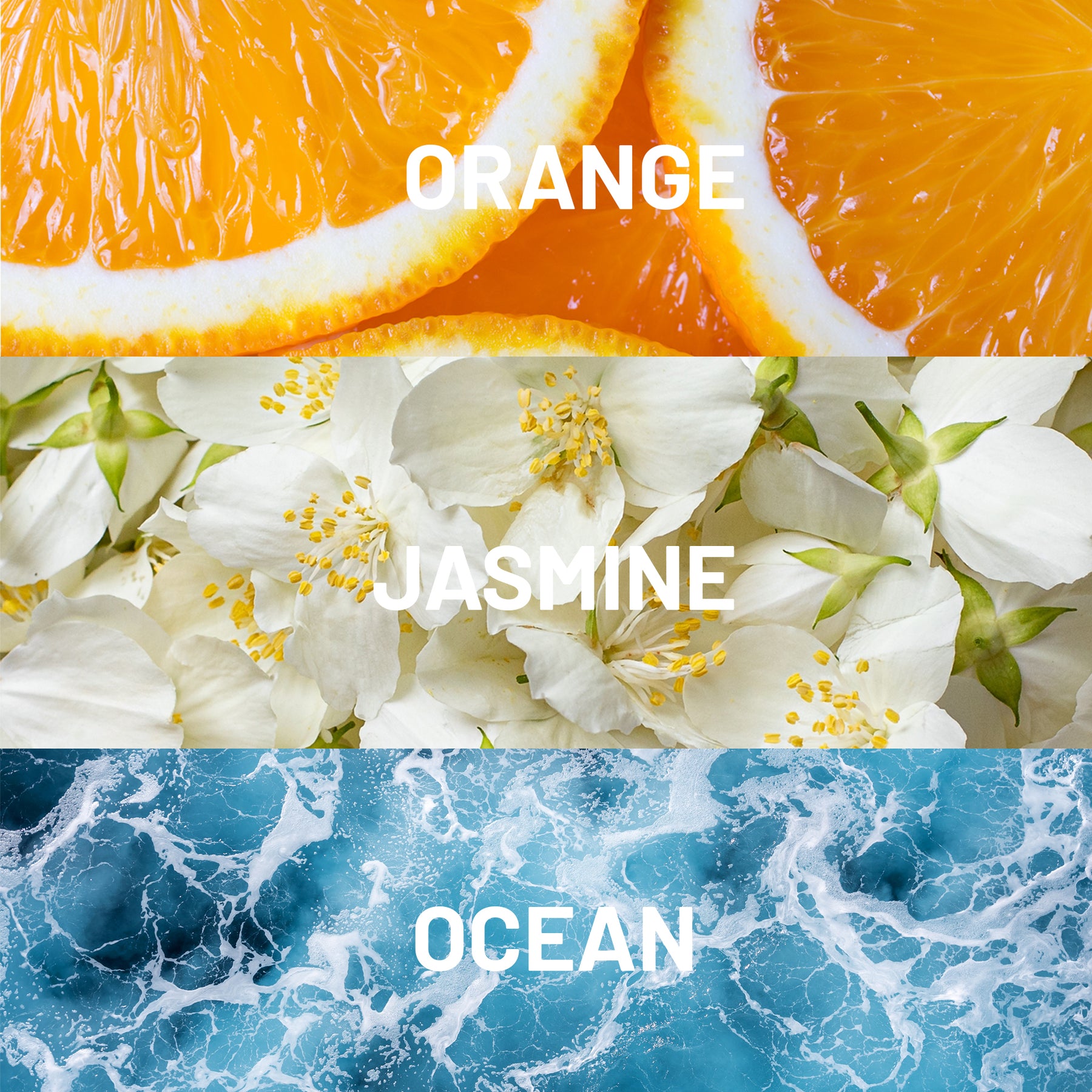 Paradise - Hotel Collection